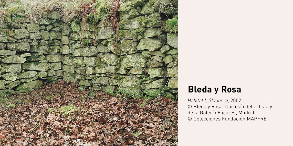 Habitat I, Glauberg (Bleda y Rosa) - Fundación MAPFRE