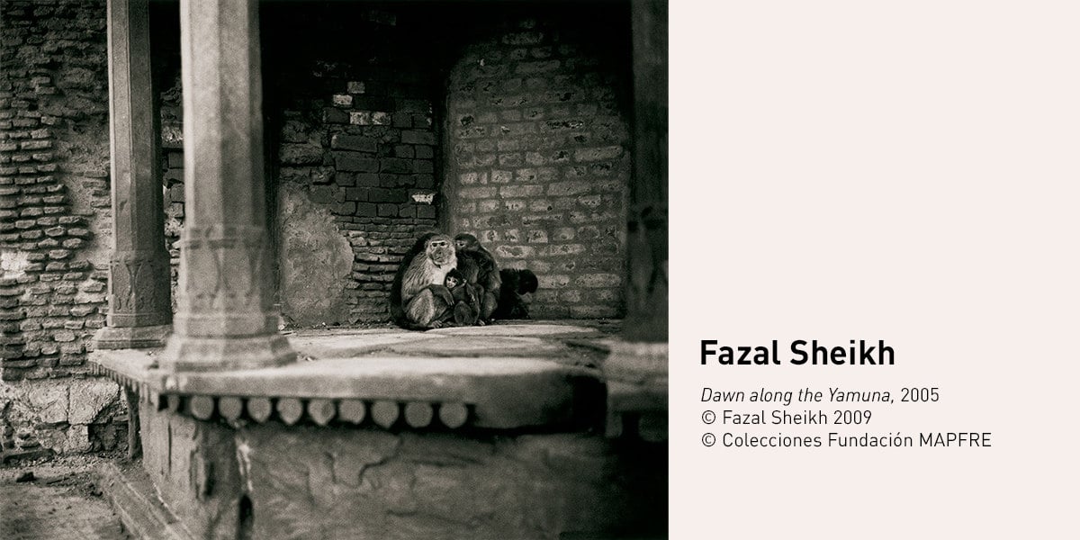 Fotografía "Dawn along the Yamuna" - Fundación MAPFRE