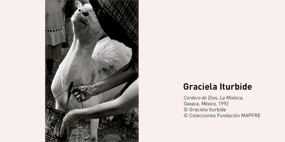 Cordero de Dios [Lamb of God], La Mixteca, Oaxaca - Fundación MAPFRE