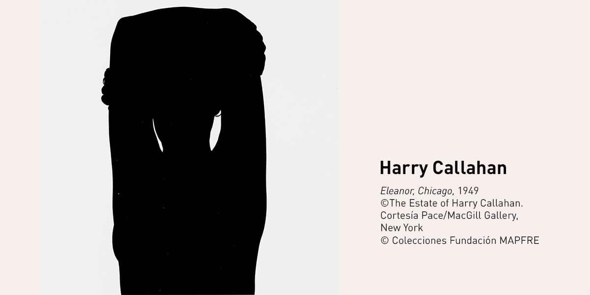 Eleanor, Chicago (II) de Harry Callahan - Fundación MAPFRE