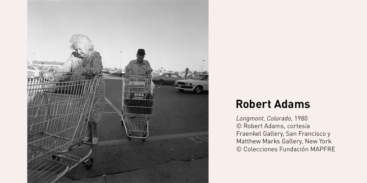 Photograph Longmont, Colorado II by Robert Adams - Fundación MAPFRE