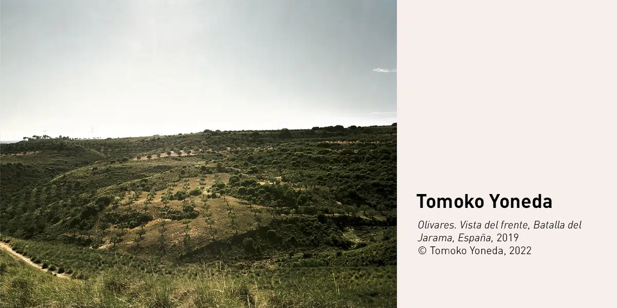 Photograph "Olive groves. A view towards the front line, Battle of ...
