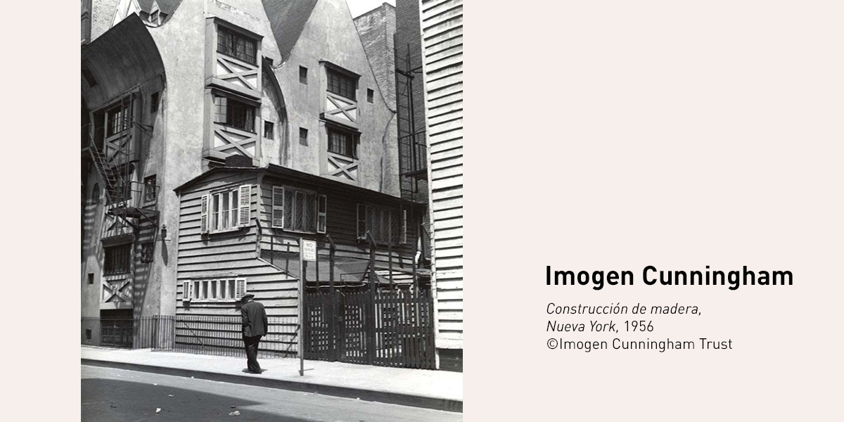 Exposición de Imogen Cunningham - Fundación MAPFRE
