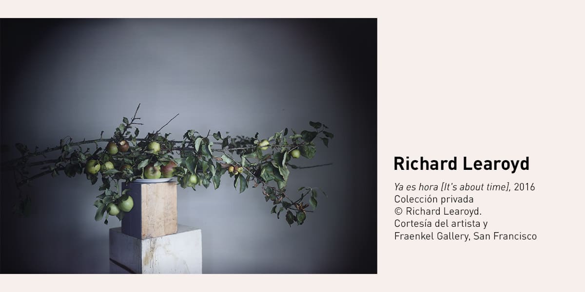 Richard Learoyd photography exhibition - Fundación MAPFRE